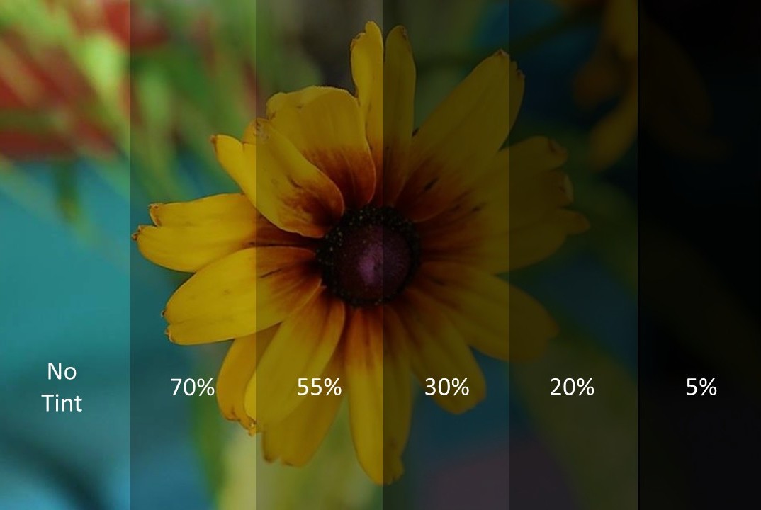 Automotive Window Tint | Redline Tint Houston